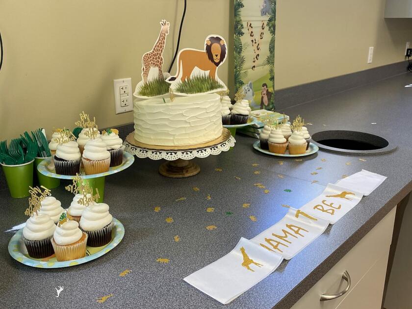 Unique Animal Safari Themed Parties For Kids